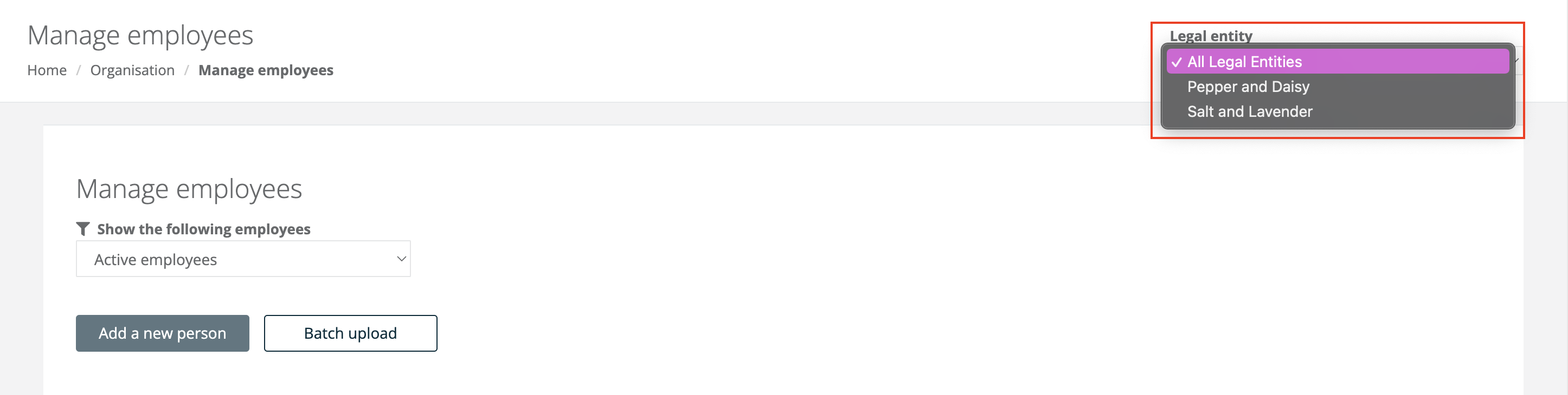 How To Add an Existing (Active) Employee – Flare HR